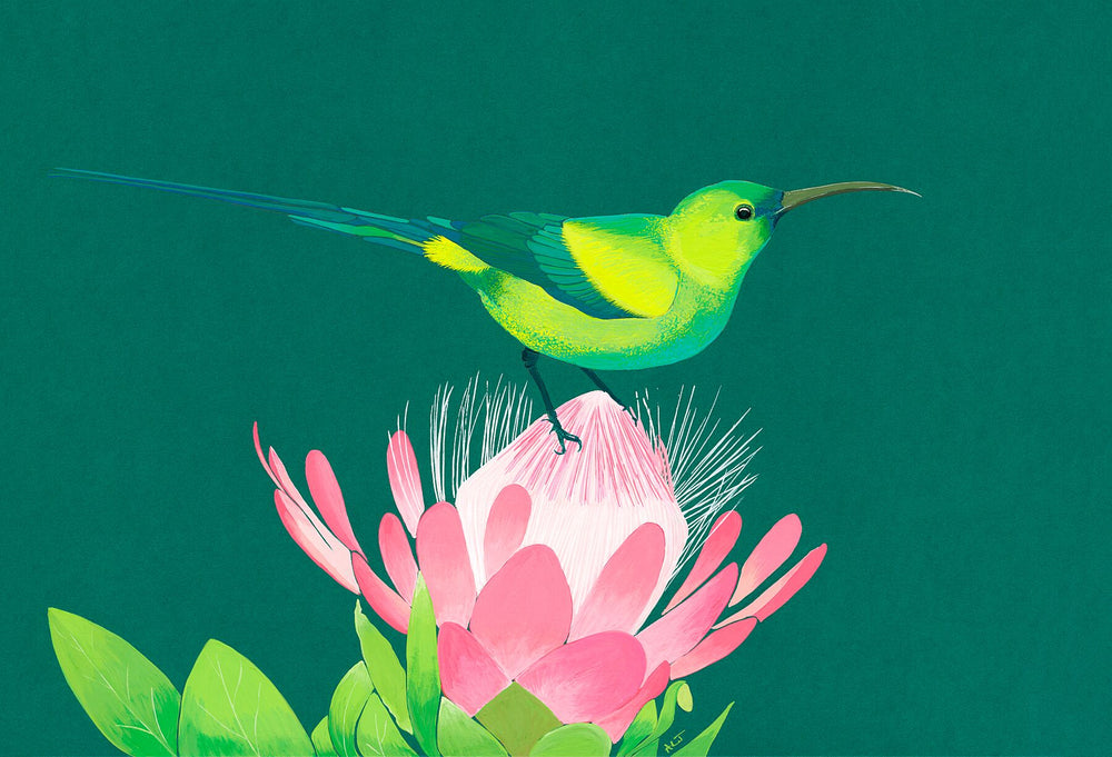 Limited Edition Prints - Anna Jacobs