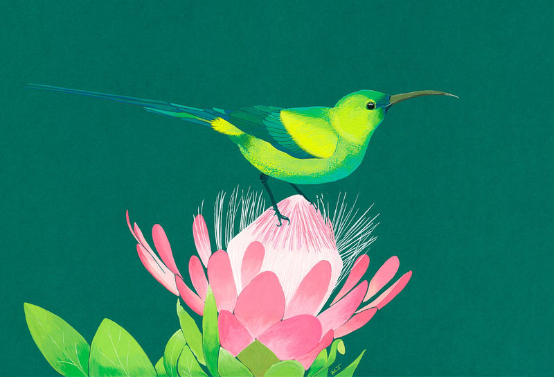 Limited Edition Prints - Anna Jacobs