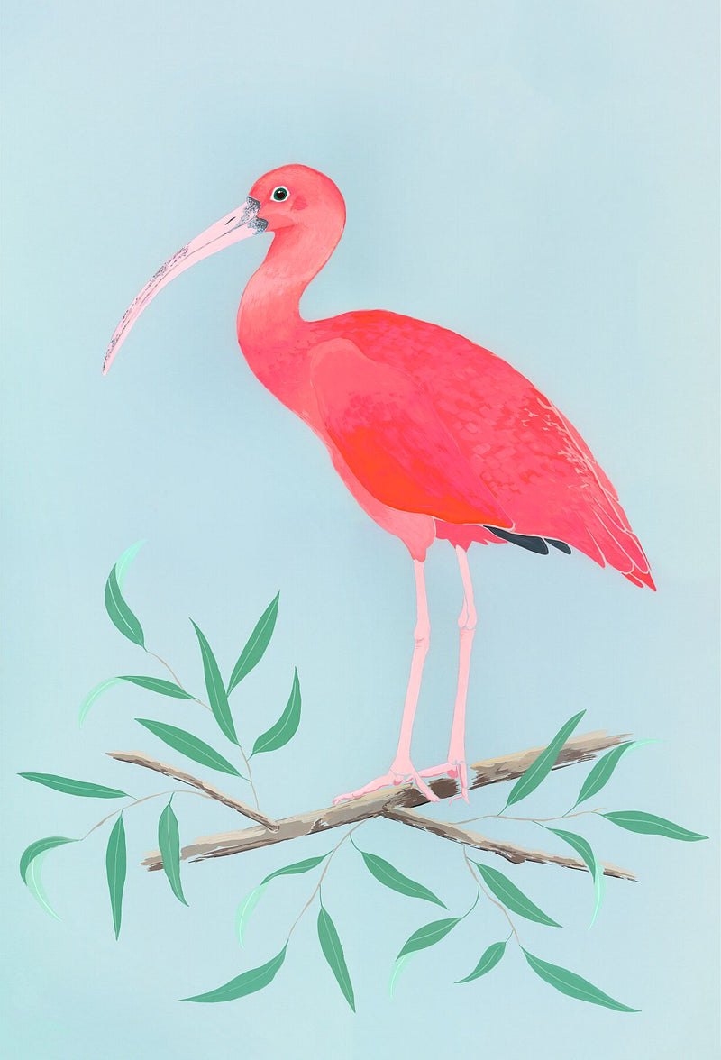 Limited Edition Prints - Anna Jacobs