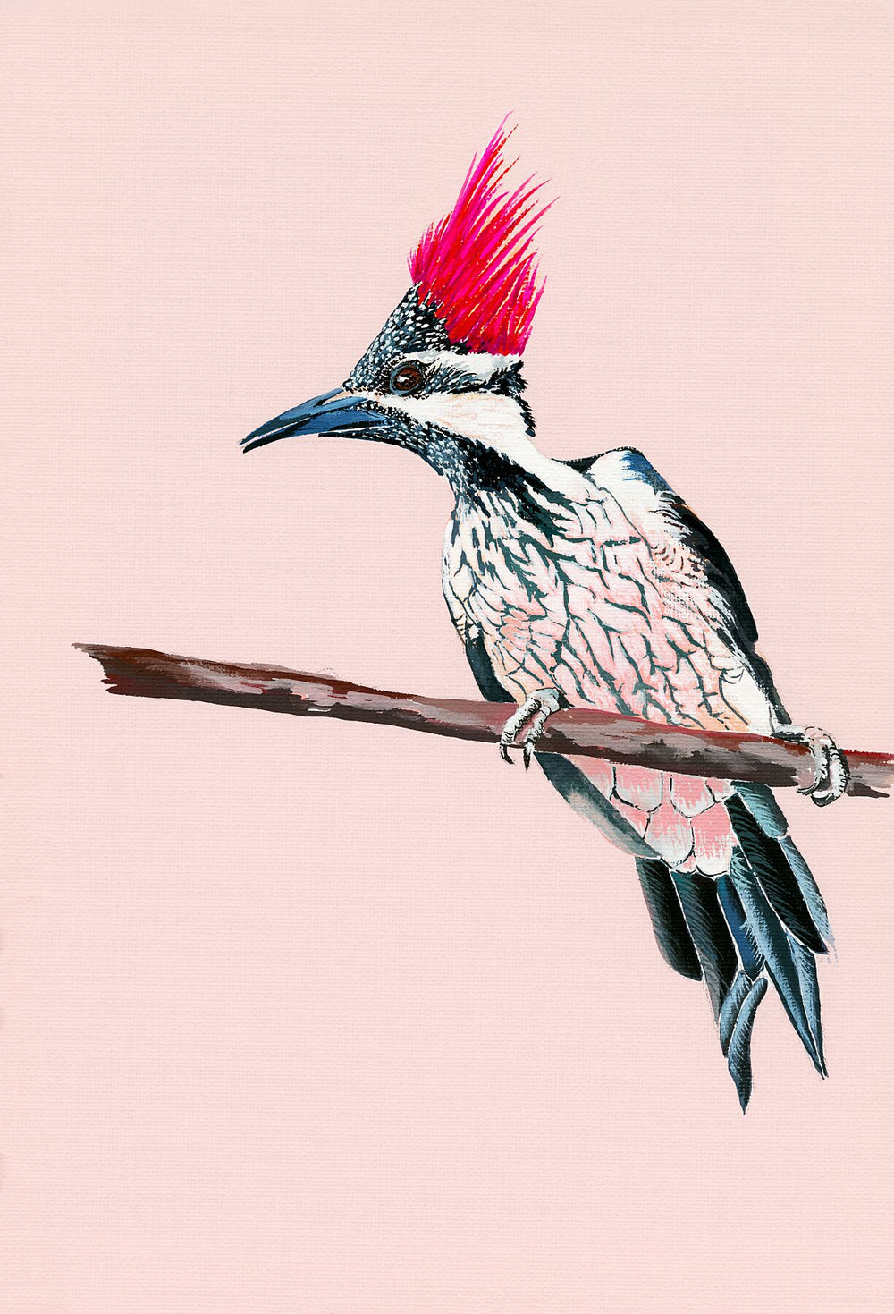 Limited Edition Prints - Anna Jacobs