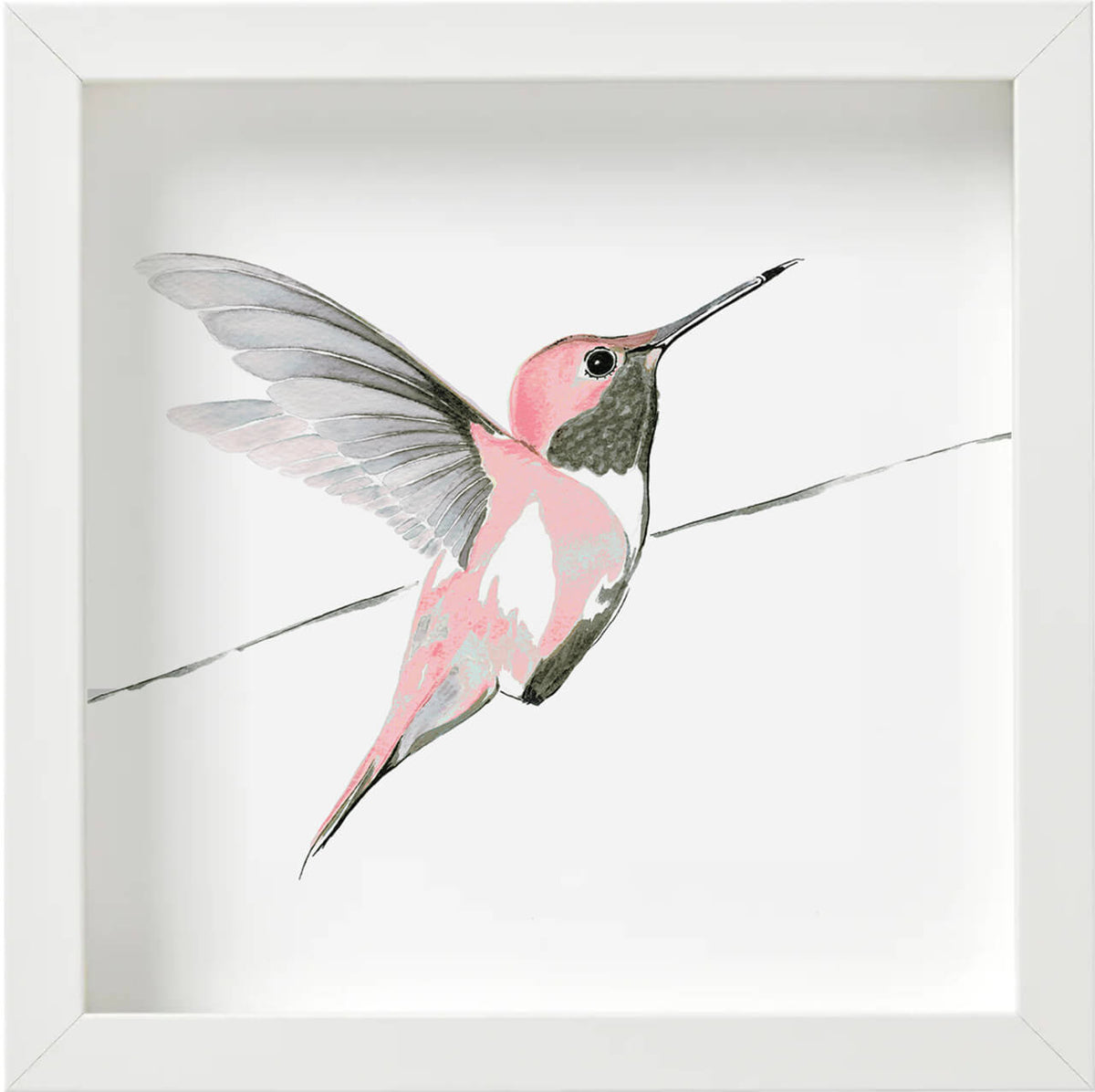 Rose Hummer limited edition print by British artist, Anna Jacobs