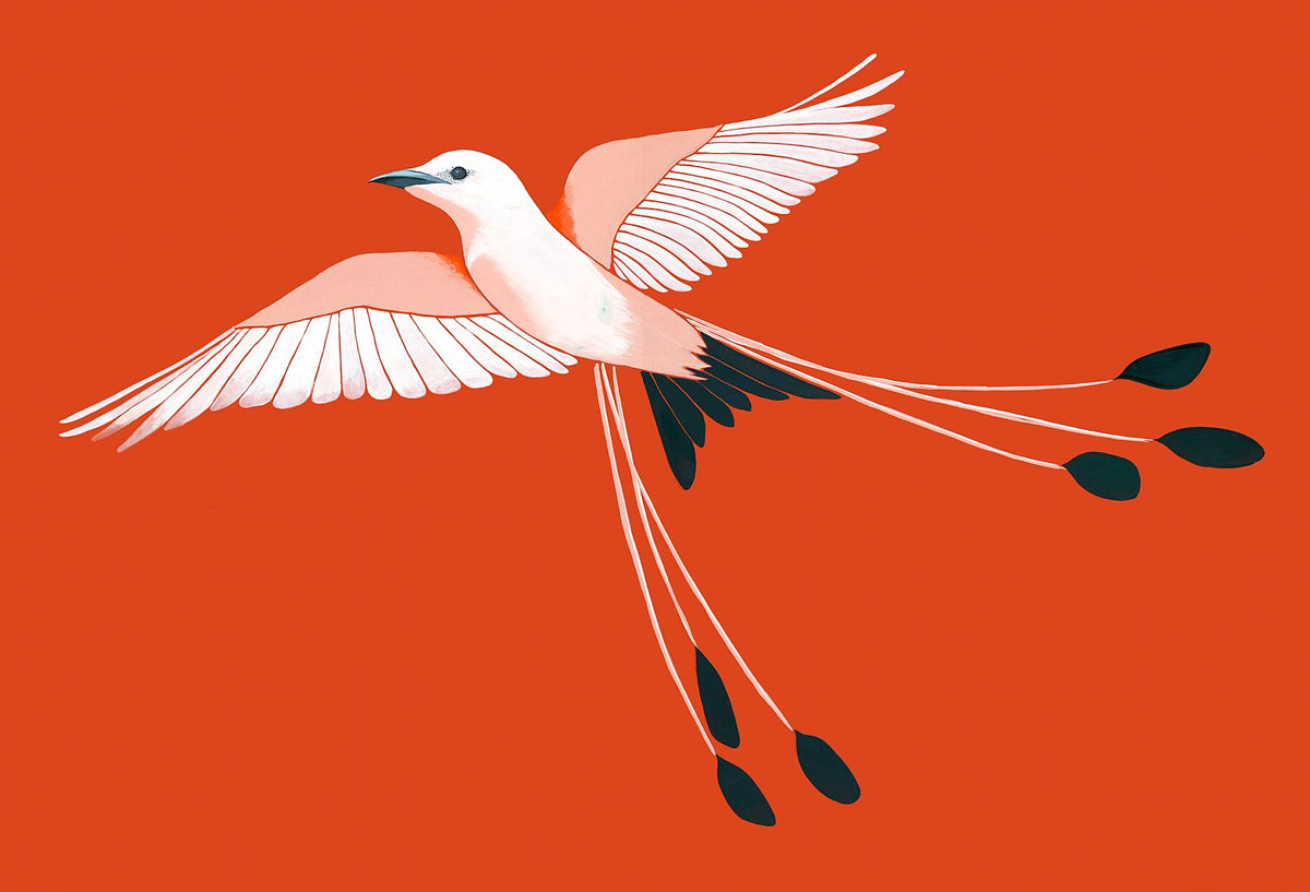 Limited Edition Prints - Anna Jacobs